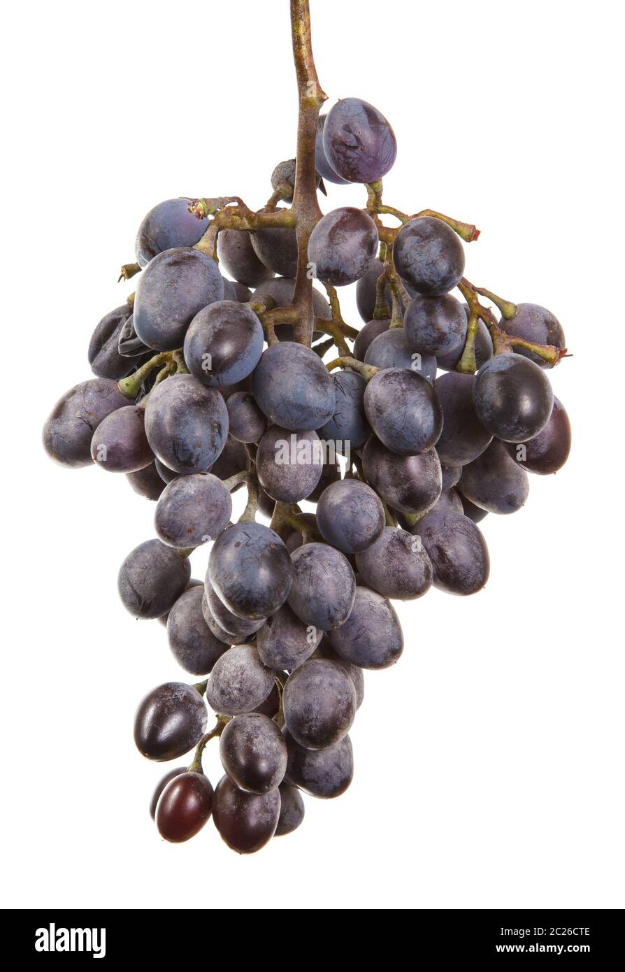 dark blue grapes. Bunch isolated on white Stock Photo - Alamy
