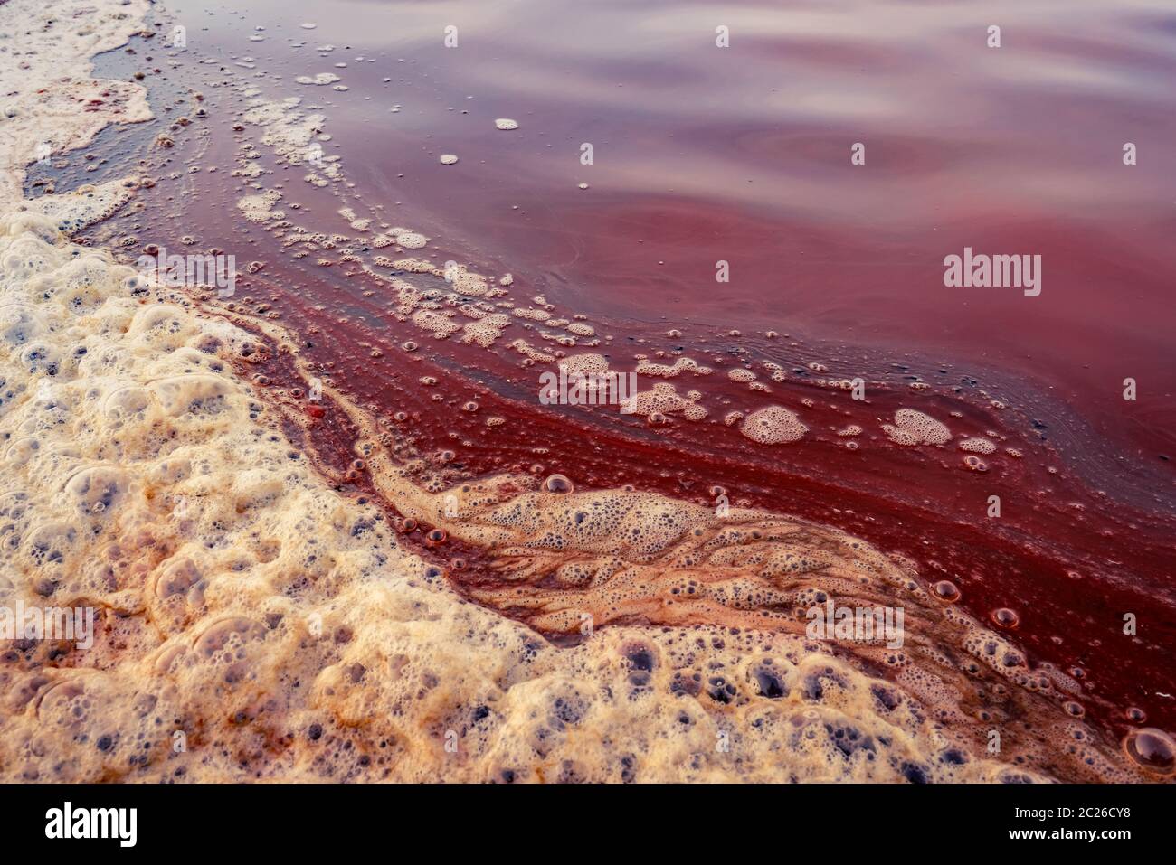 Sea water in Salt farm. Agriculture in Thailand. Process of retain ...