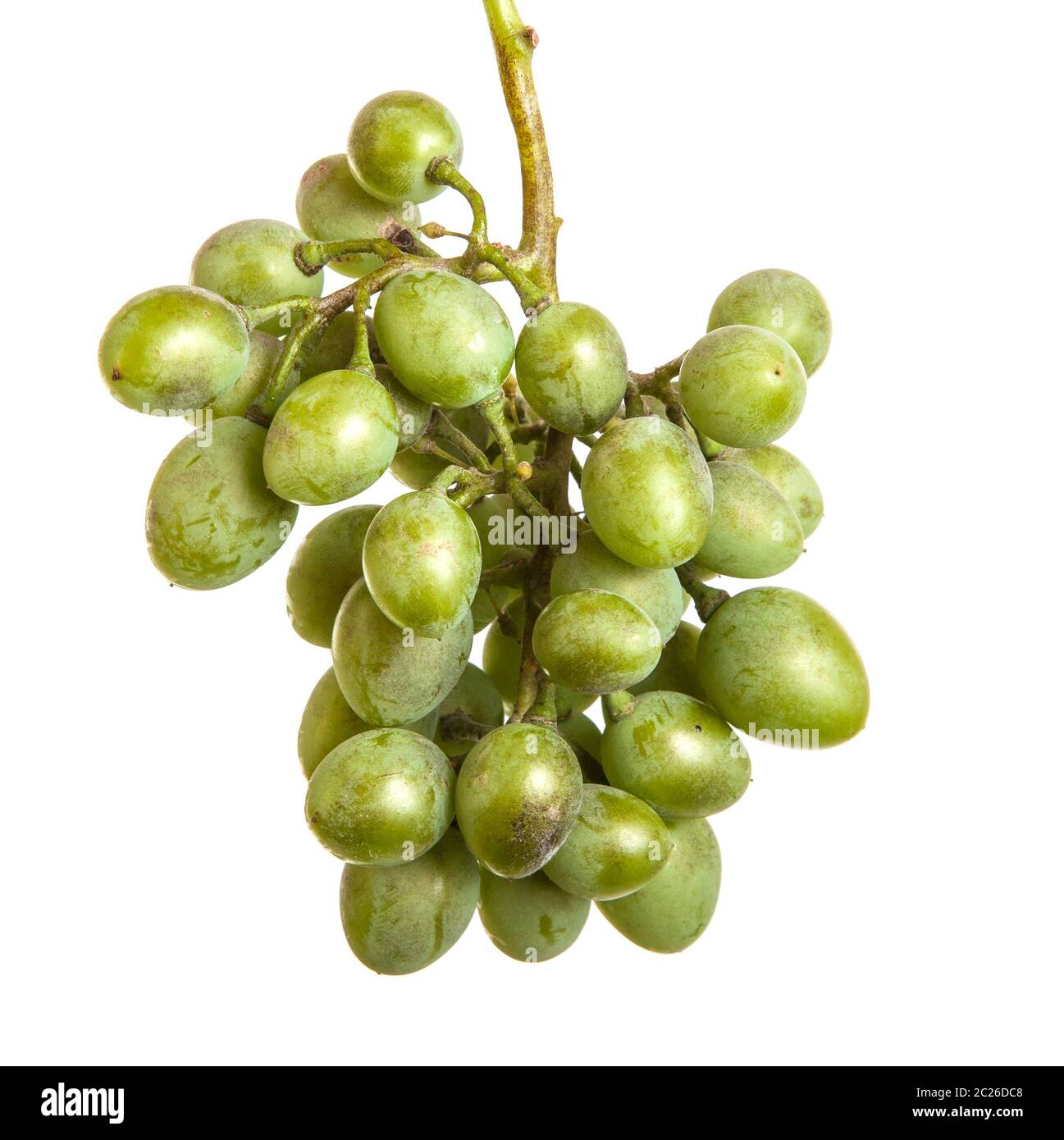 bunch of unripe green grapes. isolated on white Stock Photo - Alamy