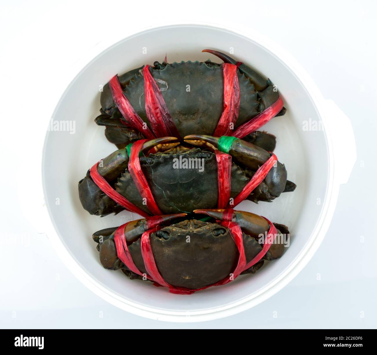 Container of crabs hi-res stock photography and images - Alamy