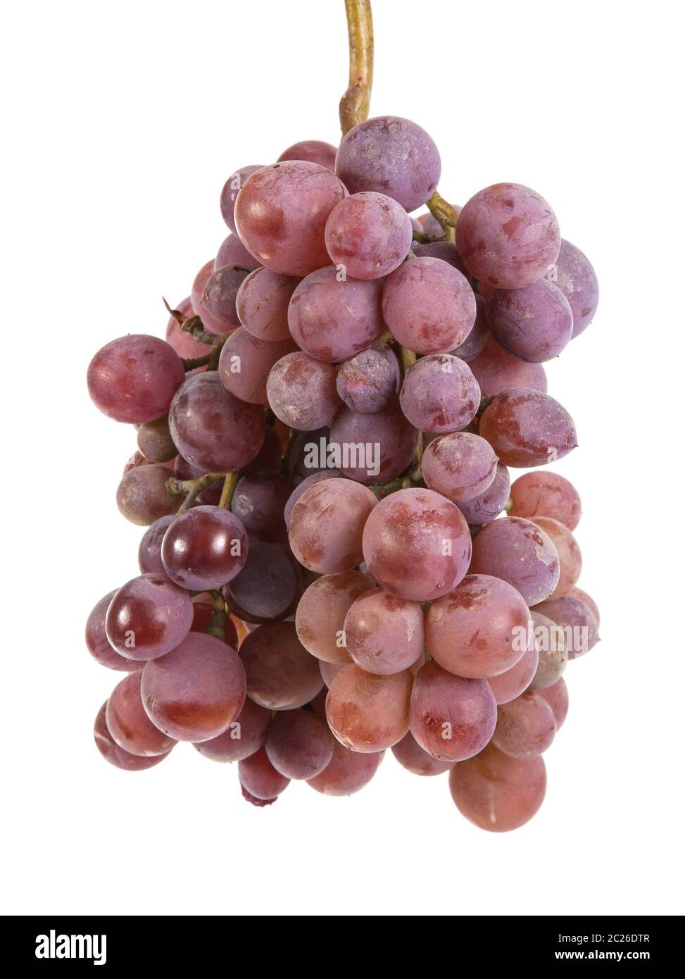 bunch of ripe purple grapes. isolated on white Stock Photo - Alamy
