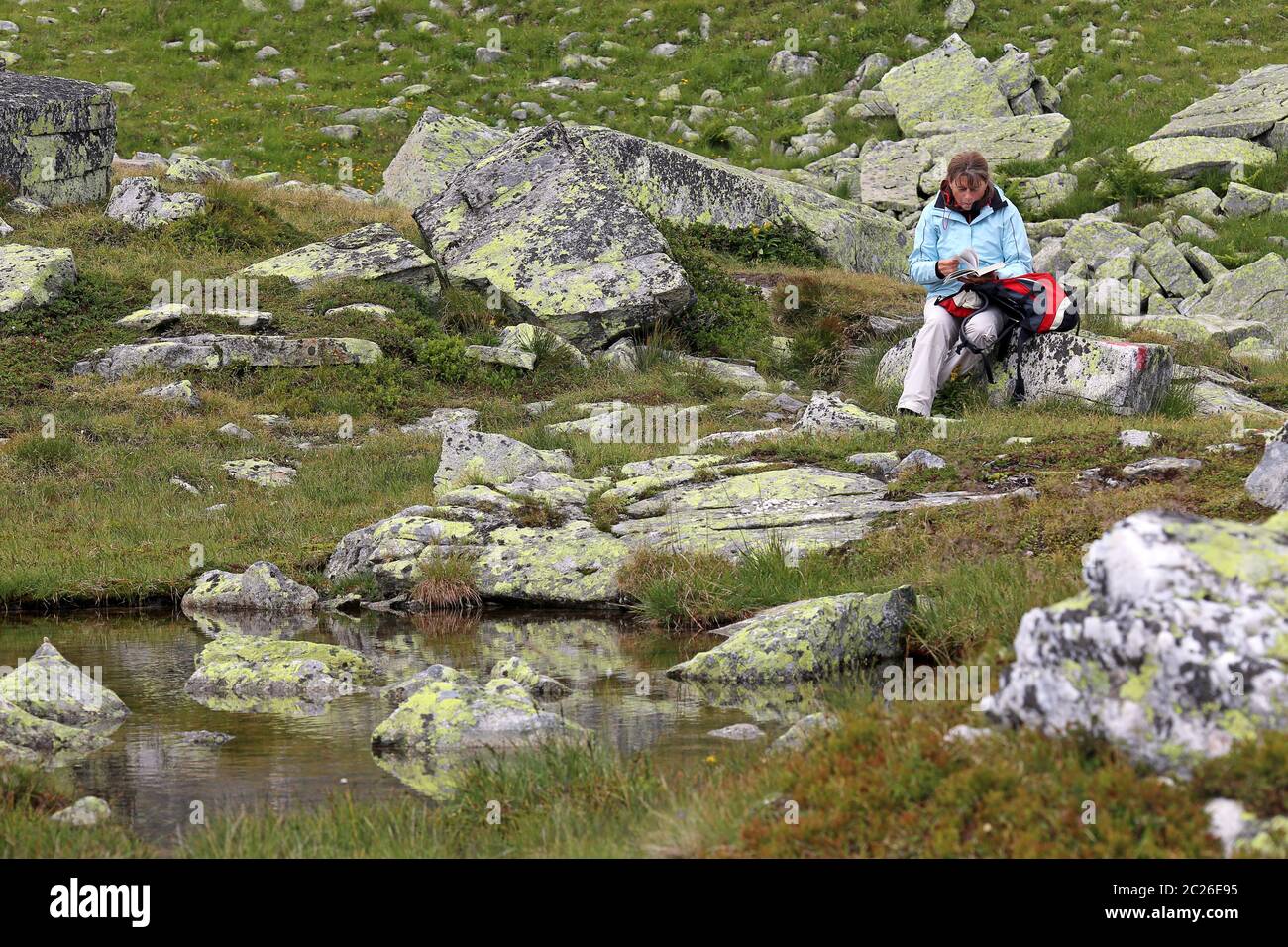 Nature friend in the high mountains Stock Photo - Alamy