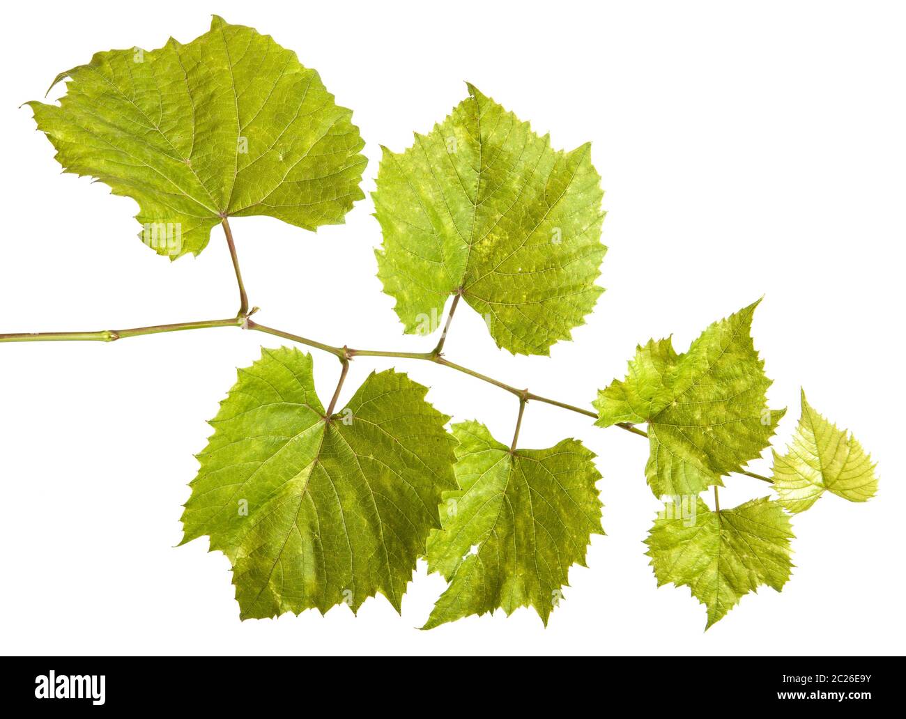 Village young Cut Out Stock Images & Pictures - Alamy