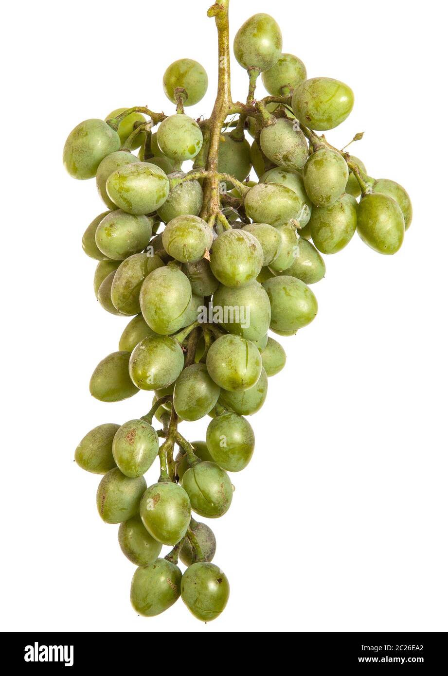 bunch of unripe green grapes. isolated on white Stock Photo - Alamy