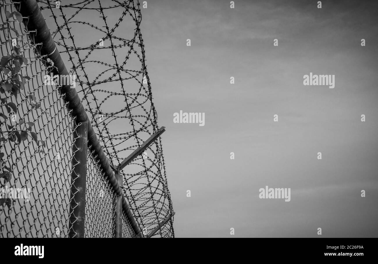 Prison security fence. Barbed wire security fence. Razor wire jail ...