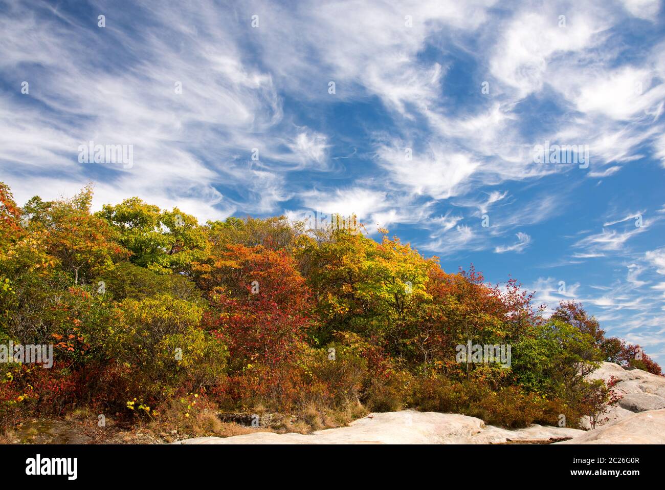 Fall foliage with a blue sky and white clouds Stock Photo - Alamy
