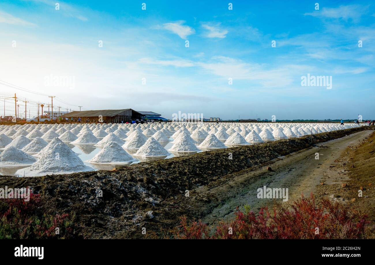Sea salt farm and barn in Thailand. Organic sea salt. Raw material of ...