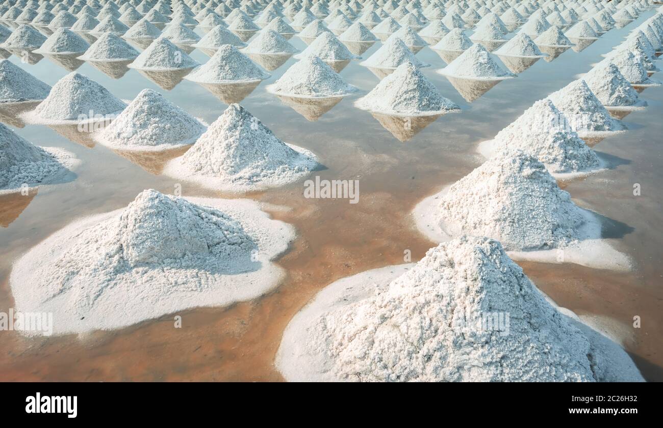Brine salt farm at Samut Sakhon, Thailand. Organic sea salt ...