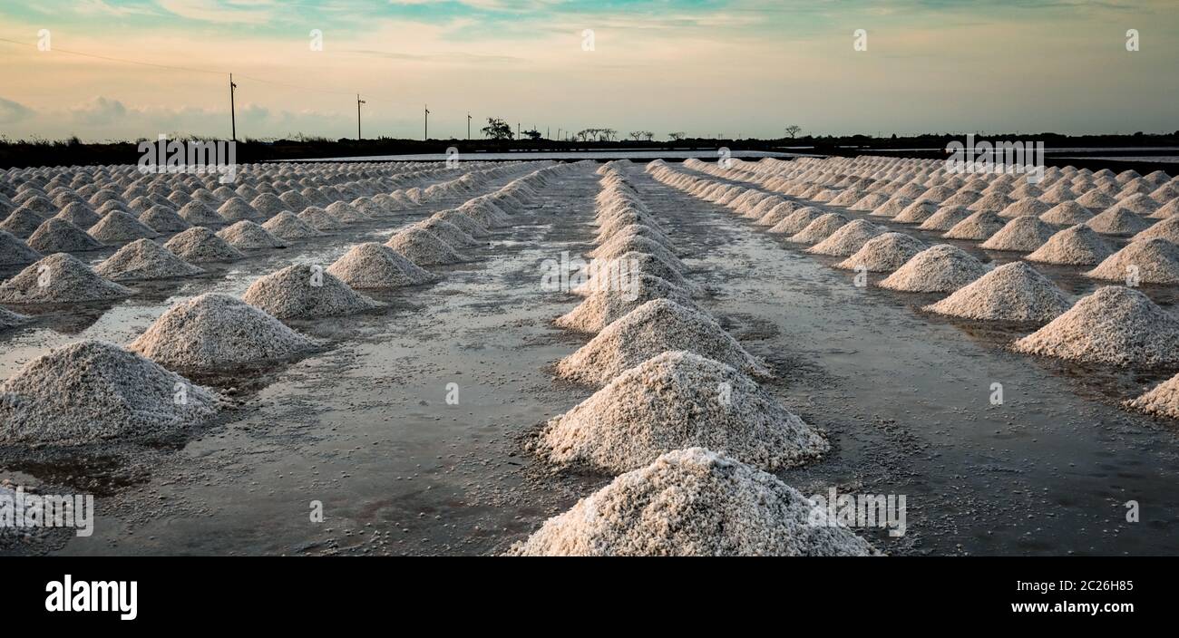 Salt farm in the morning with sunrise sky. Organic sea salt ...