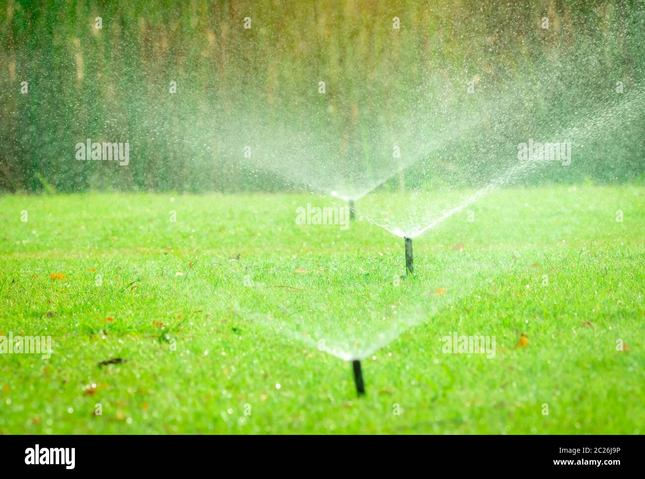 Automatic lawn sprinkler watering green grass. Sprinkler with automatic ...
