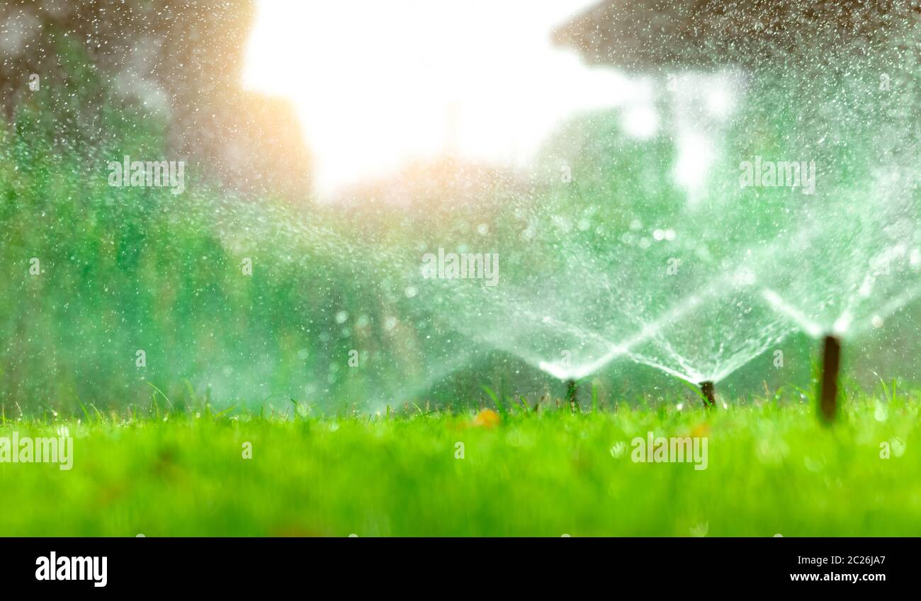 Automatic lawn sprinkler watering green grass. Sprinkler with automatic ...