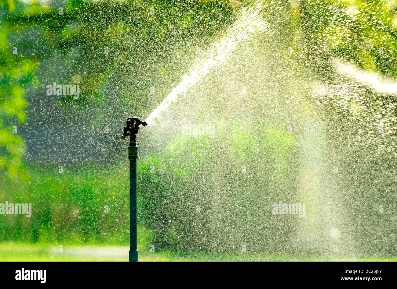 Automatic lawn sprinkler watering green grass. Sprinkler with automatic ...
