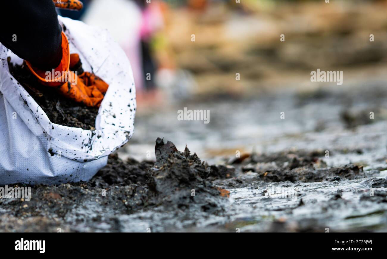 Volunteers collecting garbage. Beach environment pollution. Volunteers ...