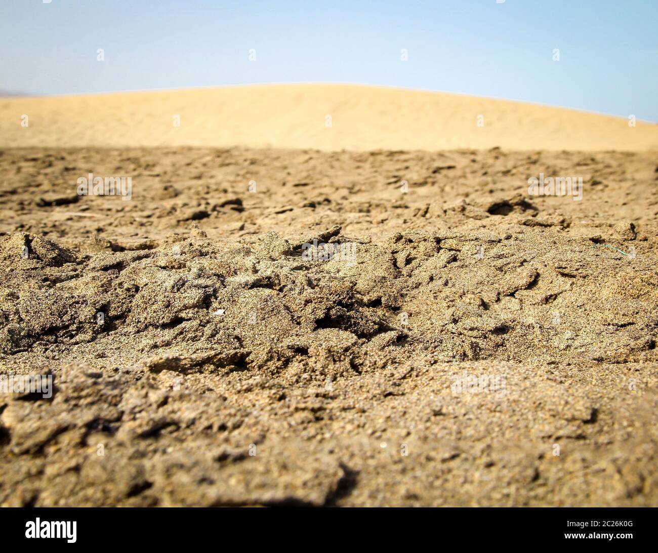 desert withered earth sand Stock Photo - Alamy