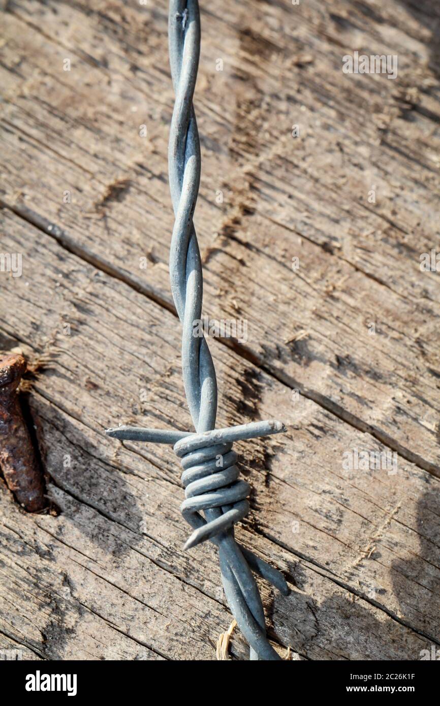 a detail of a barbed wire Stock Photo - Alamy