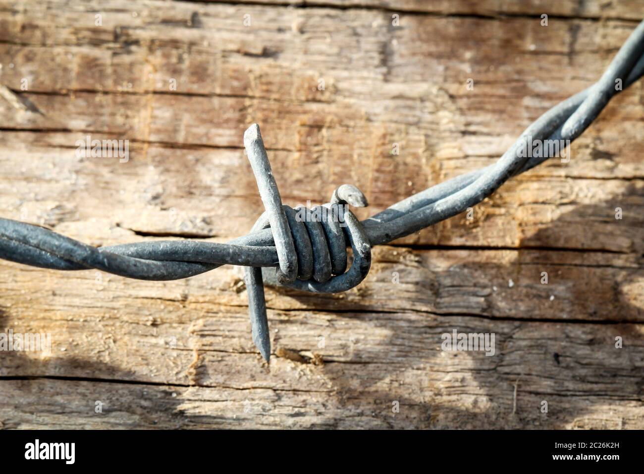 a detail of a barbed wire Stock Photo - Alamy