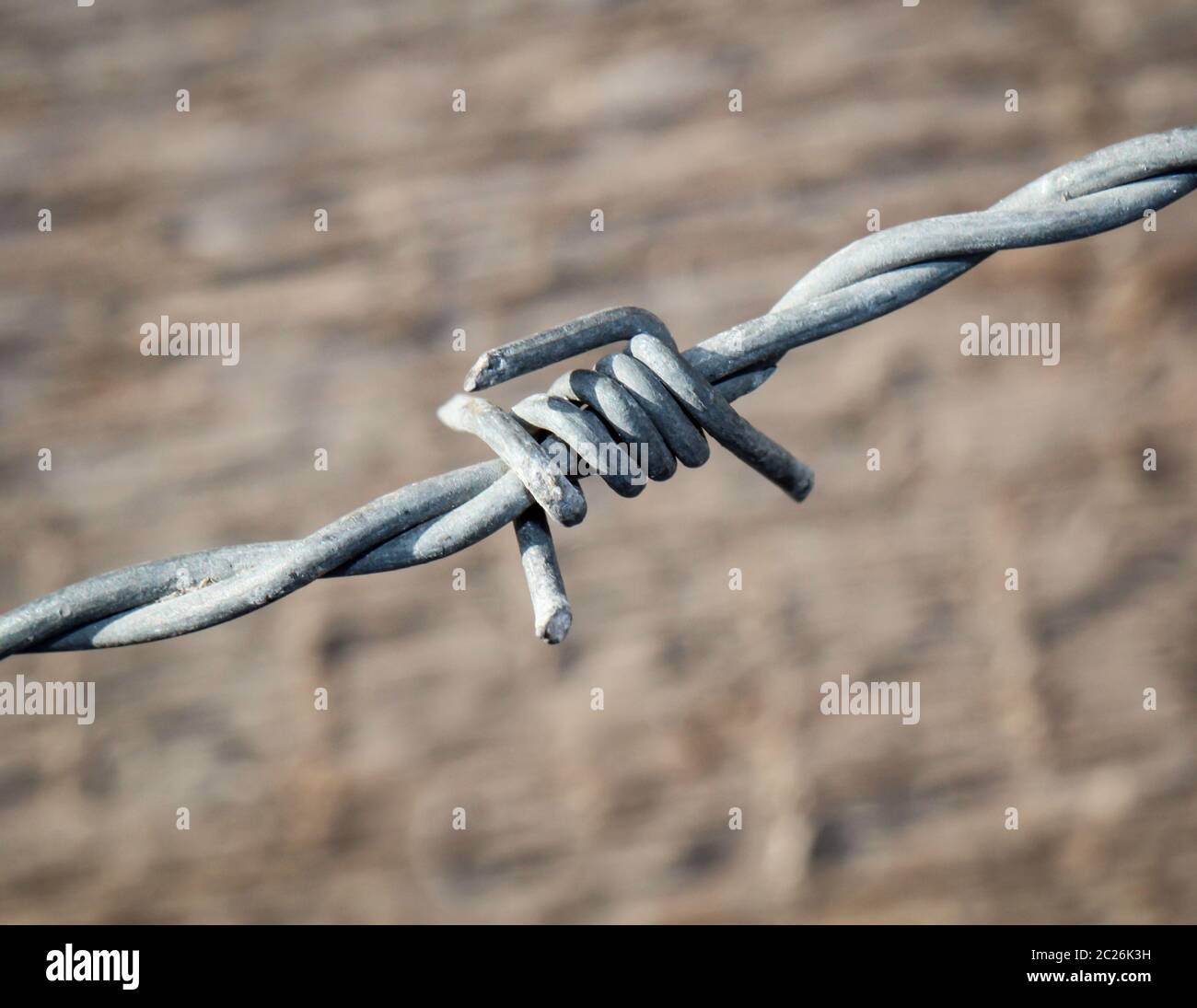 Twoply hi-res stock photography and images - Alamy
