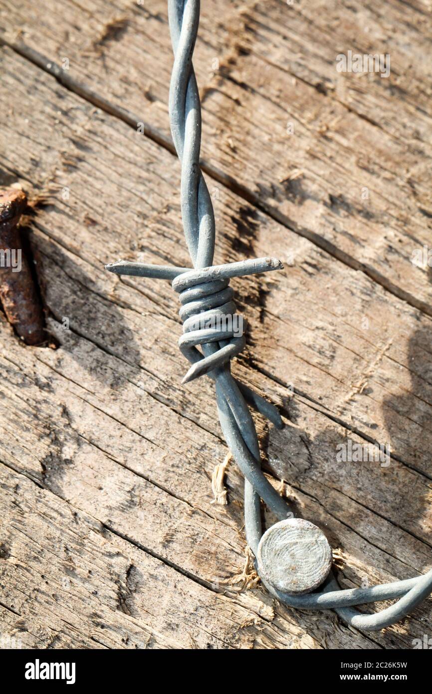 Barbed spine hi-res stock photography and images - Alamy