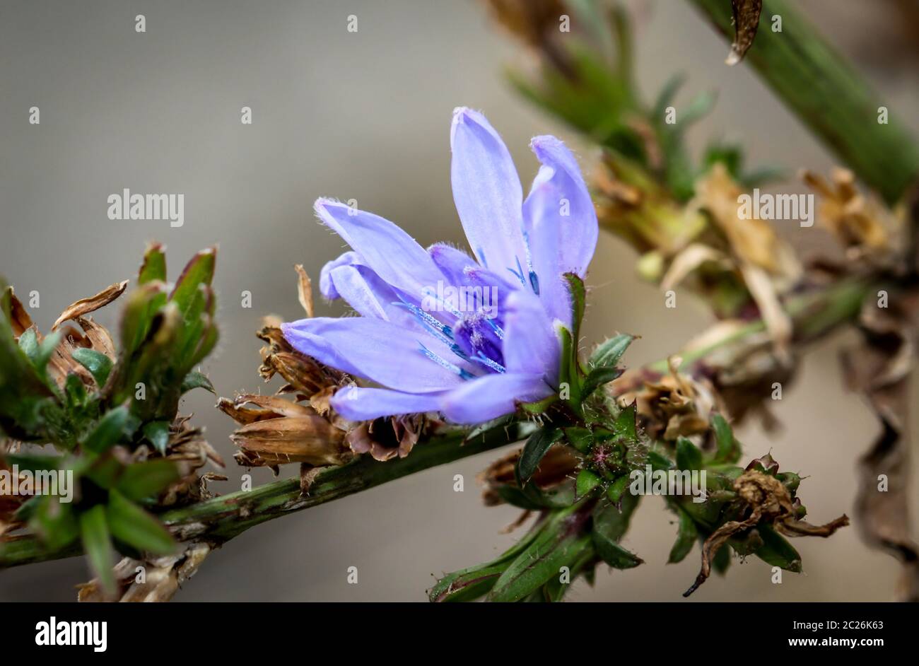 We mean green hi-res stock photography and images - Alamy