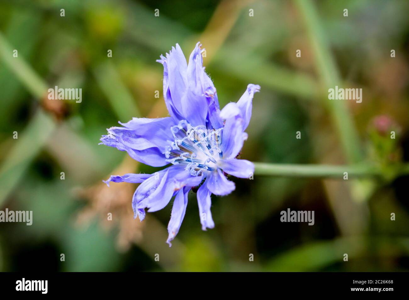 We mean green hi-res stock photography and images - Alamy