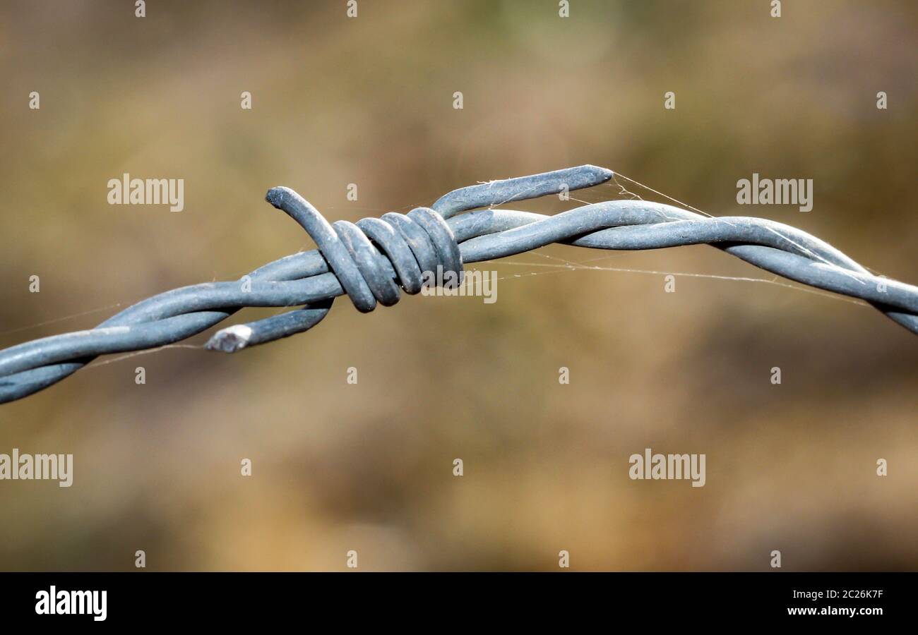 a detail of a barbed wire Stock Photo - Alamy