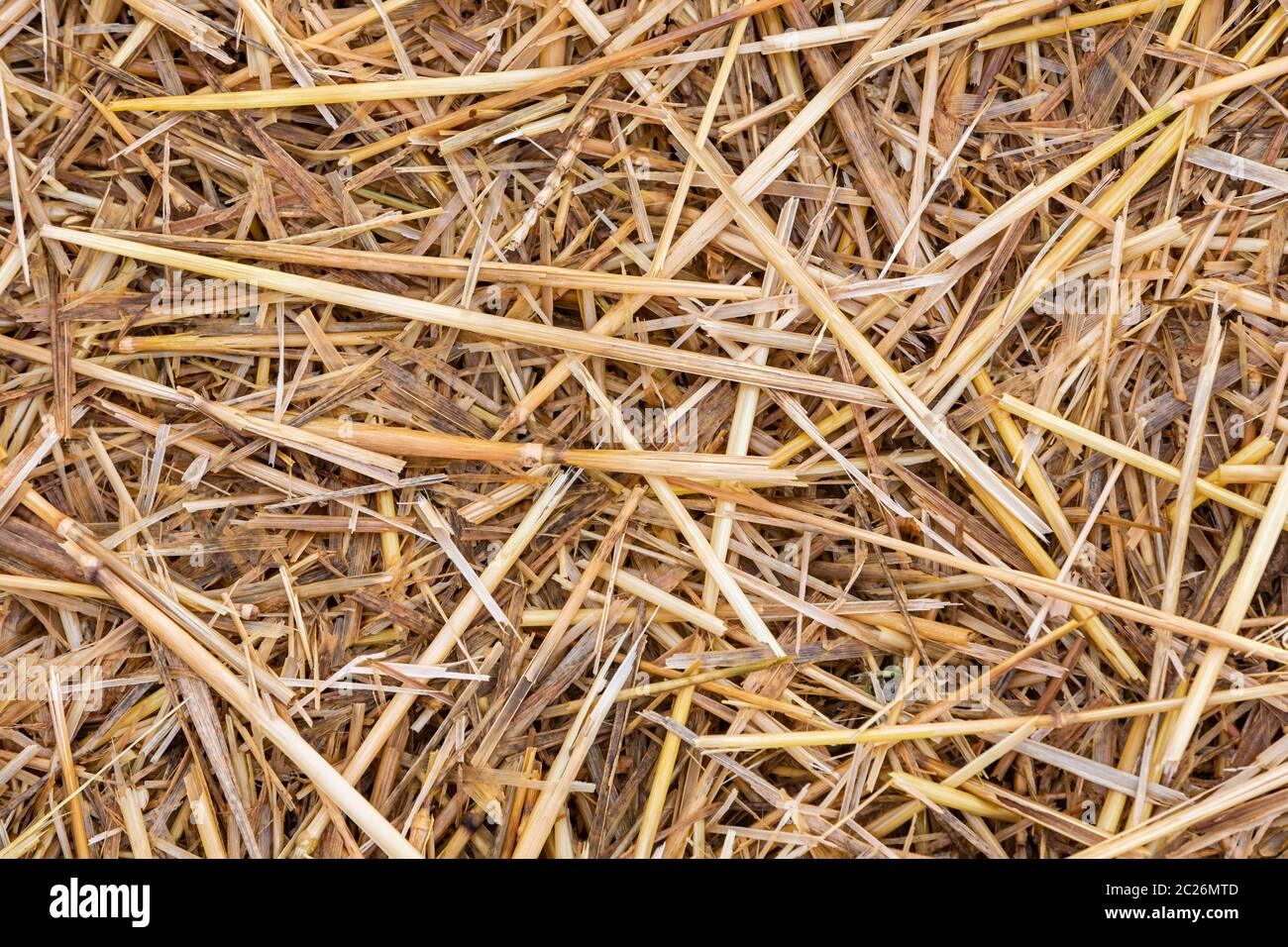 full background detail of straw on the floor Stock Photo - Alamy