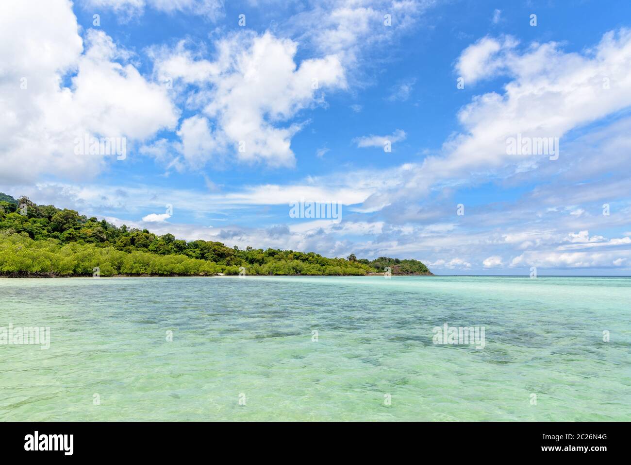 Ko ra wi hi-res stock photography and images - Alamy