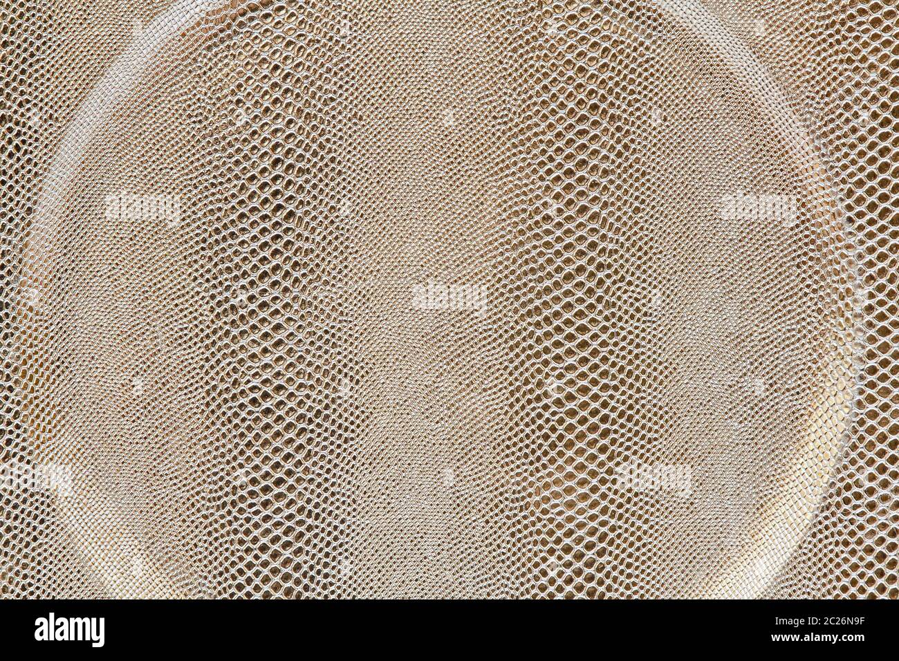 Artificial Snake Pattern at Decorative Plate Texture Stock Photo - Alamy