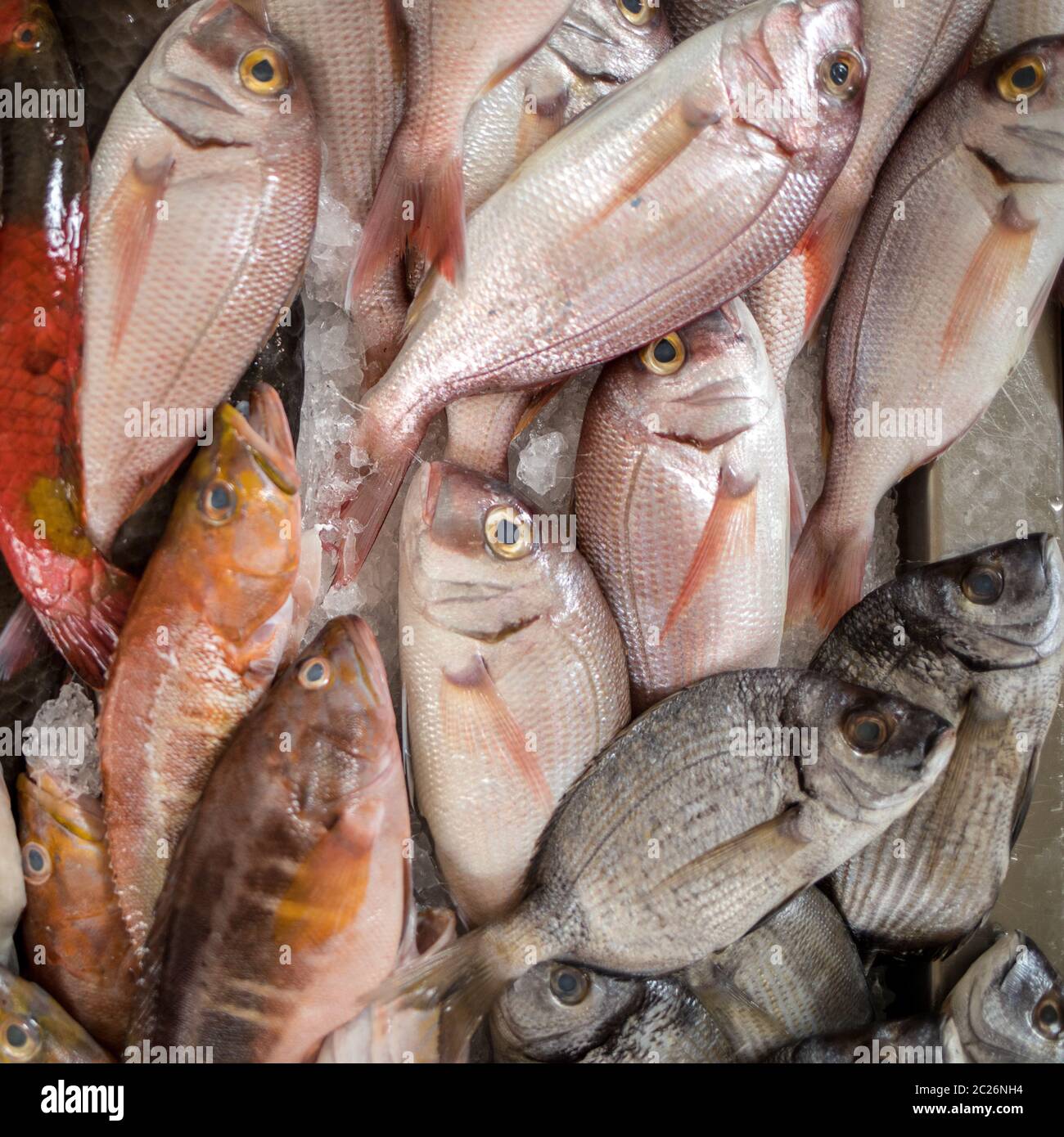 Fresh fish for sale at a fish market Stock Photo - Alamy
