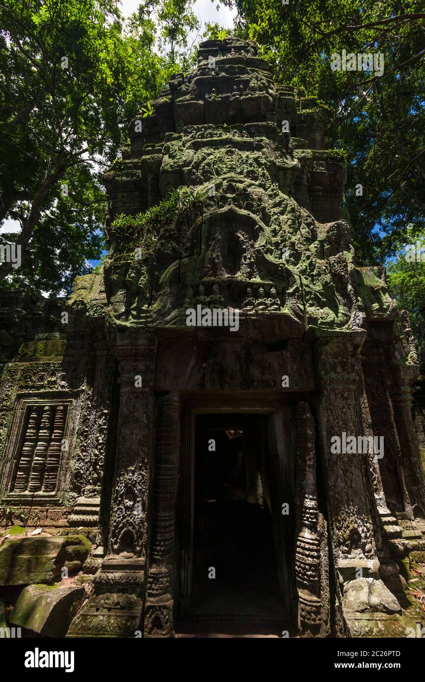 Courtyard of Ta Prohm Temple, Rajavihara (royal monastery), Ancient ...