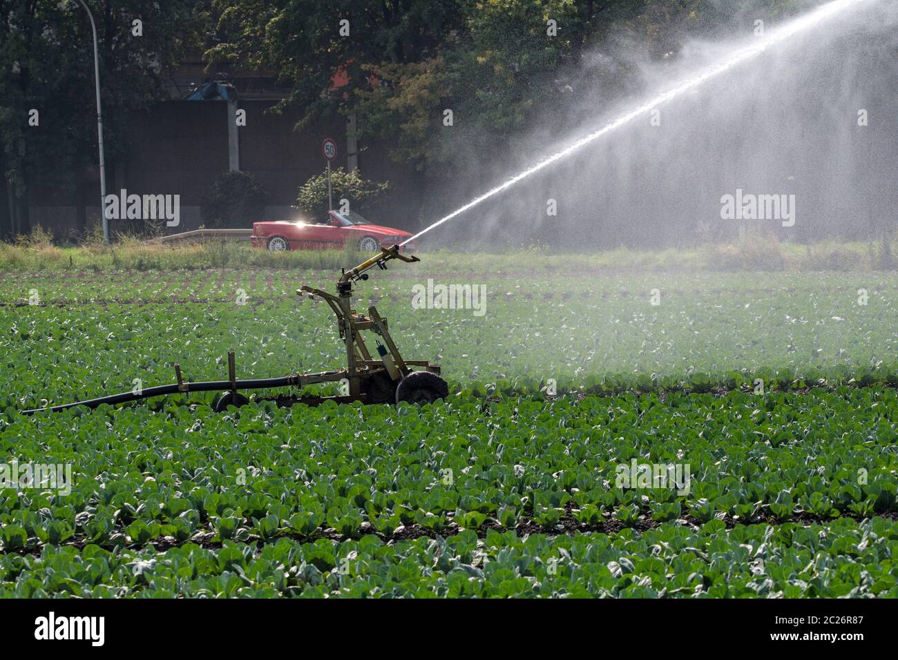 Irrigate field hi-res stock photography and images - Alamy