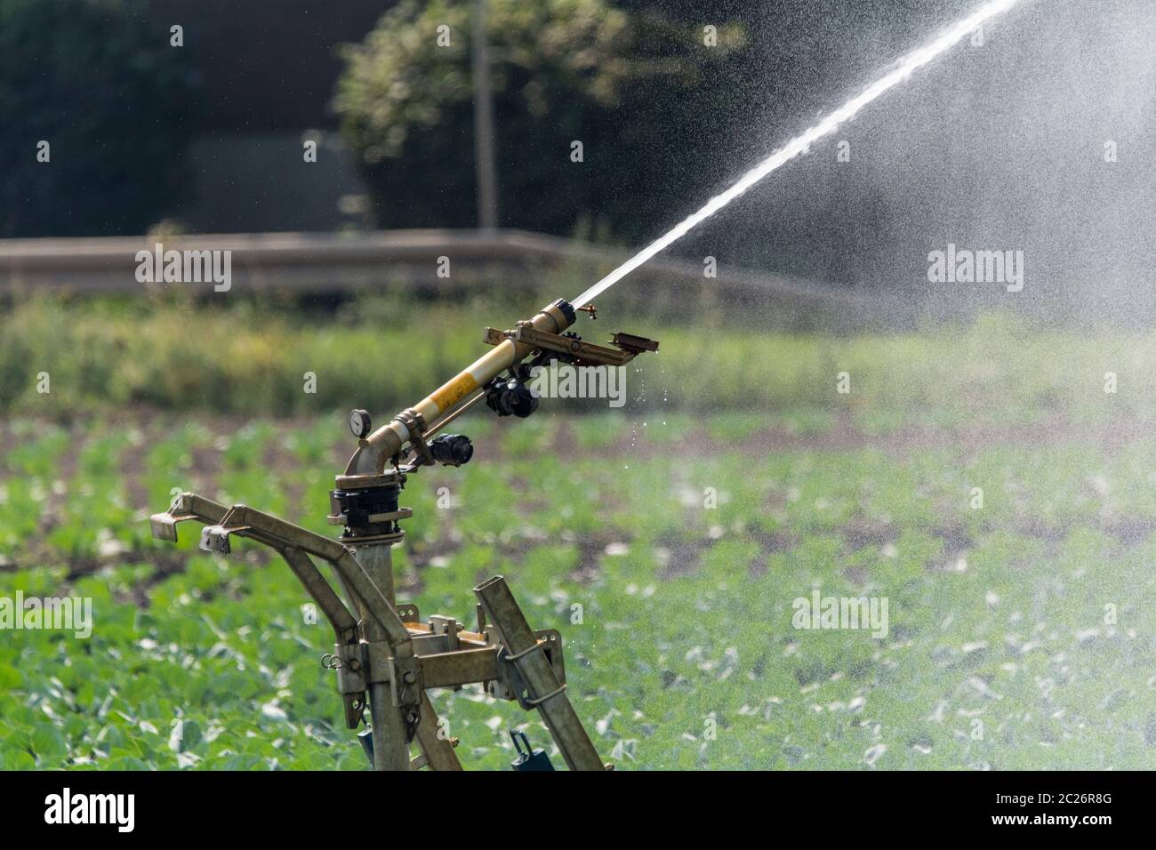 Drop irrigation system hi-res stock photography and images - Alamy
