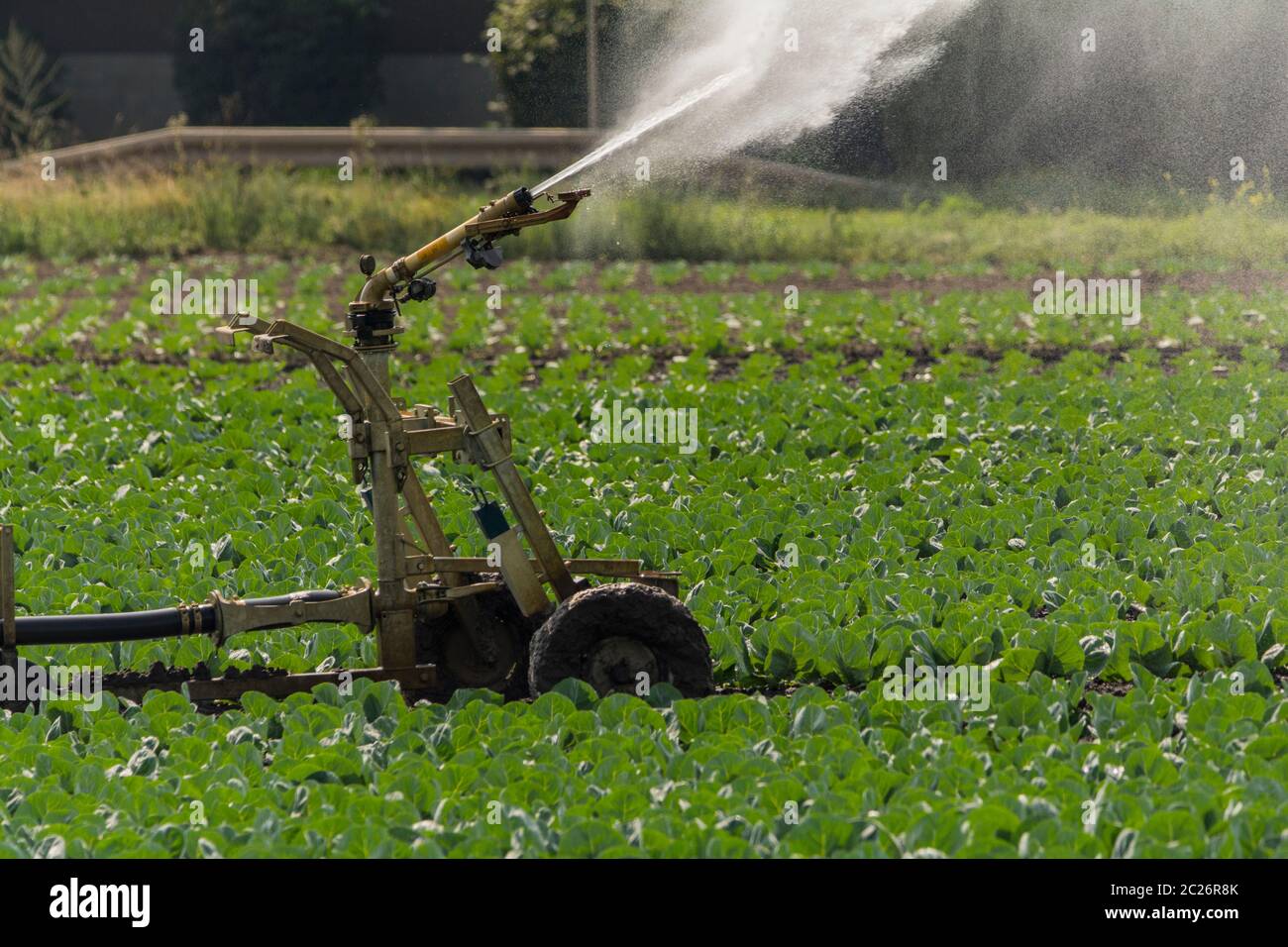 Land irrigation hi-res stock photography and images - Alamy