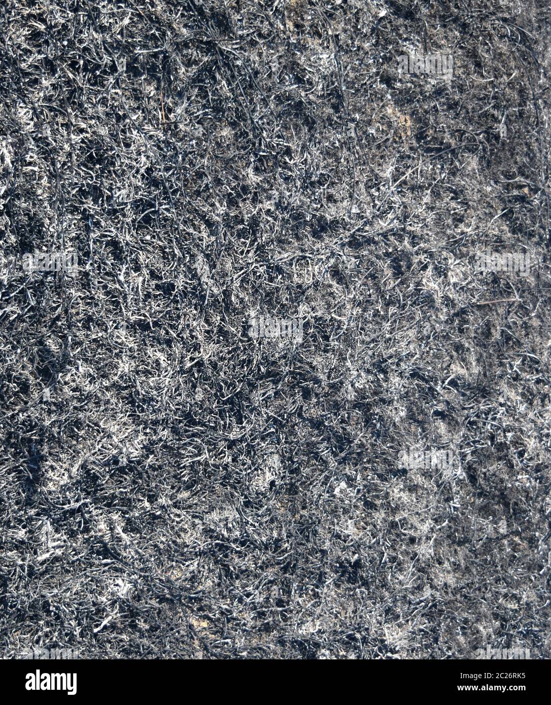 Burned black yellow grass texture hi-res stock photography and images ...