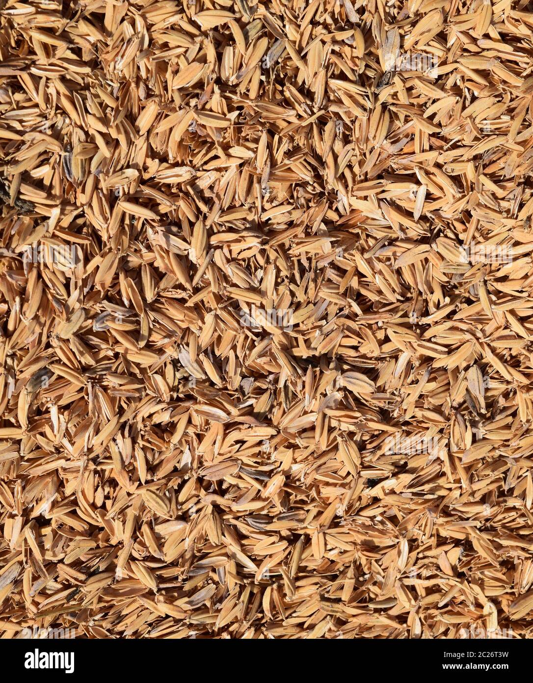 Rice Husks High Resolution Stock Photography and Images - Alamy