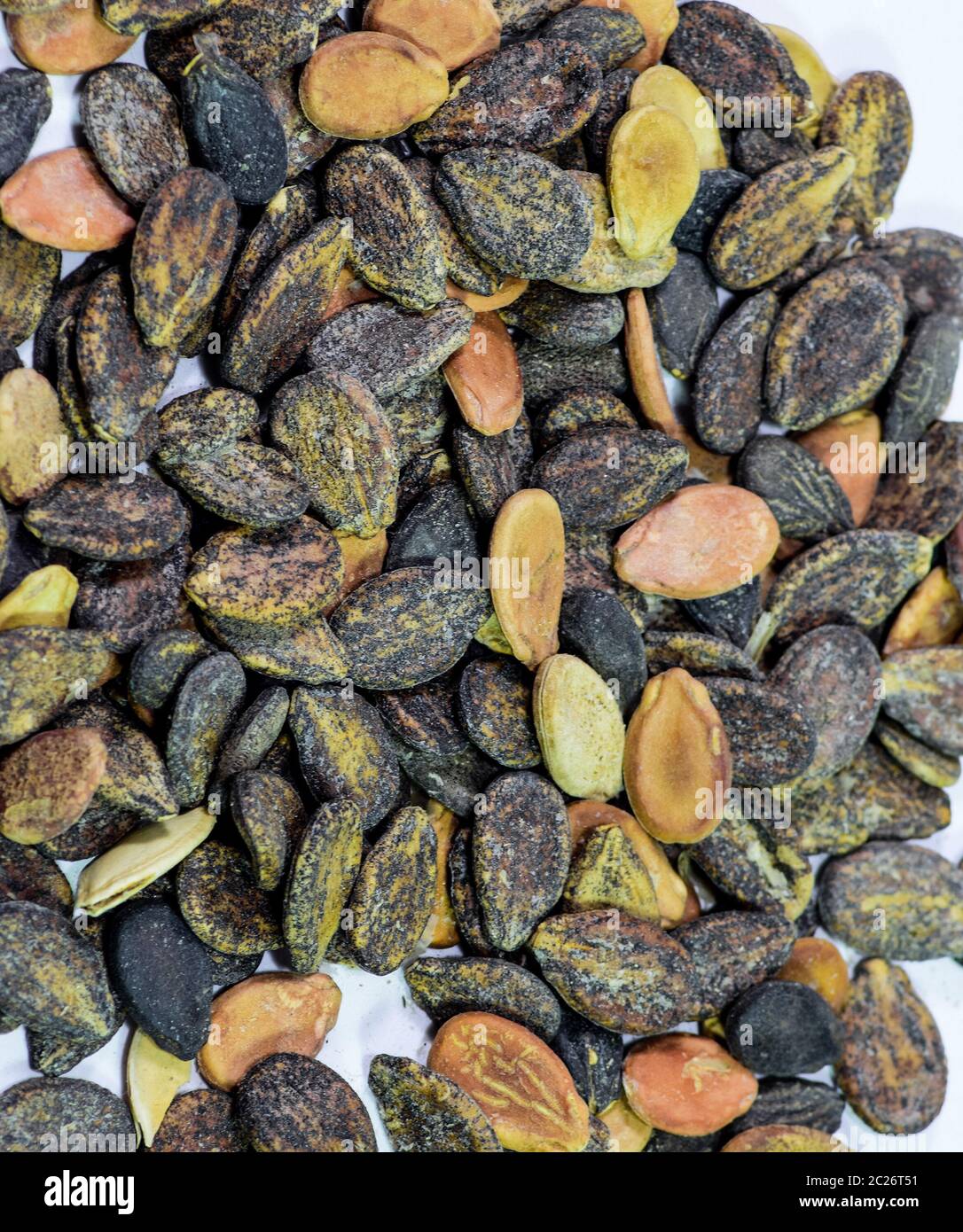 Seeds of watermelon on a white background. watermelon seeds for sowing ...