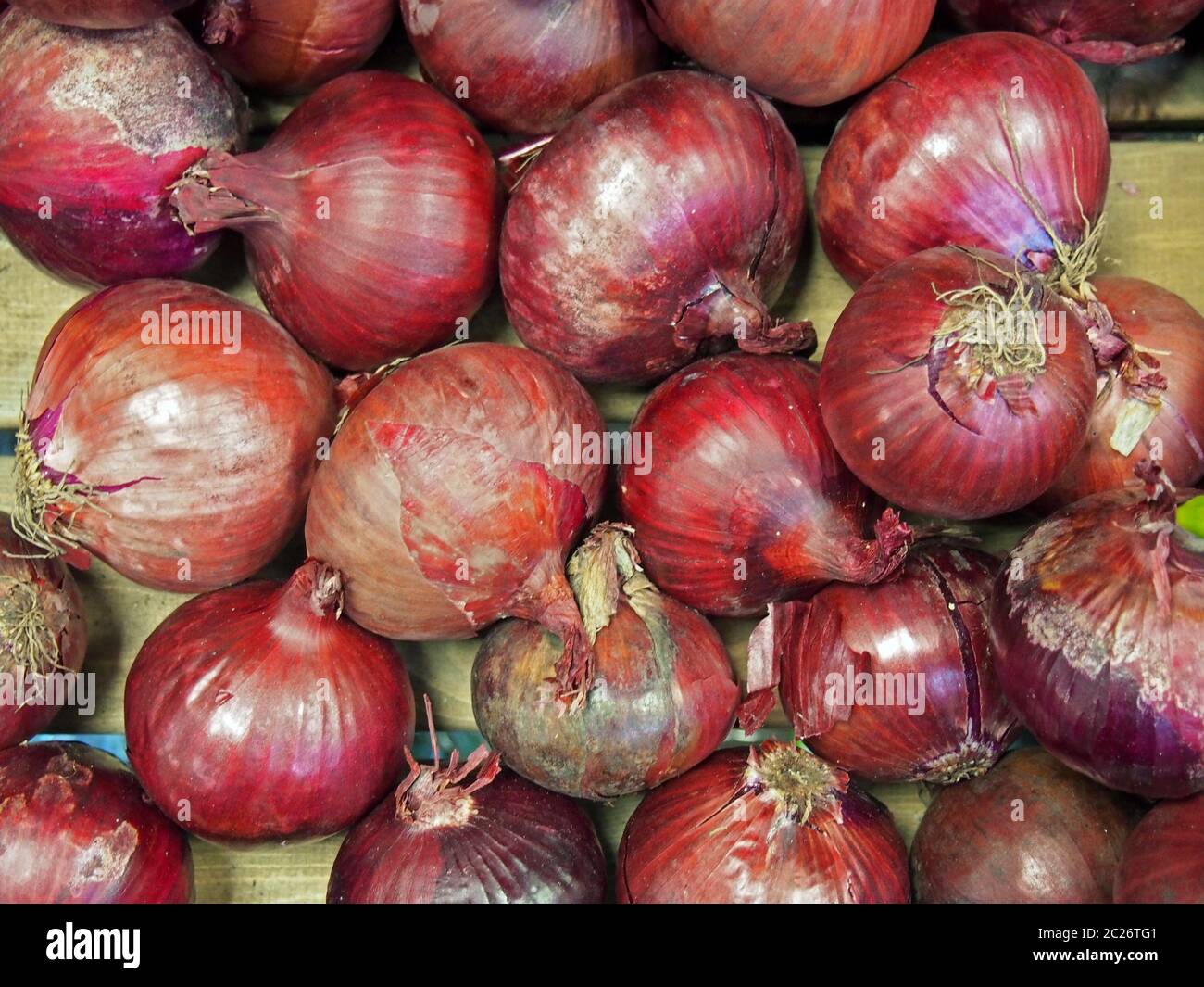 organic red onions with uneven shapes and rough red skins Stock Photo ...