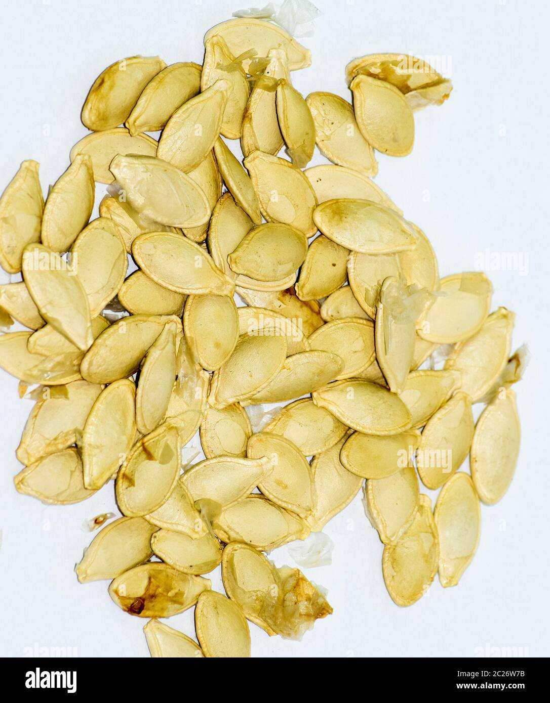 Seeds of zucchini on white background. Courgettes Stock Photo - Alamy