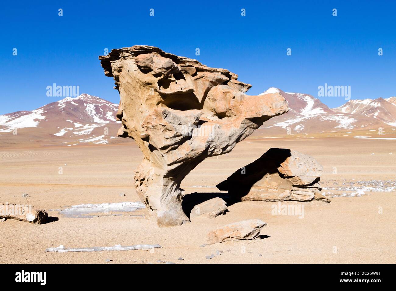 Stone Tree rock, Bolivia. Bolivian landmark. Arbol de Piedra Stock ...