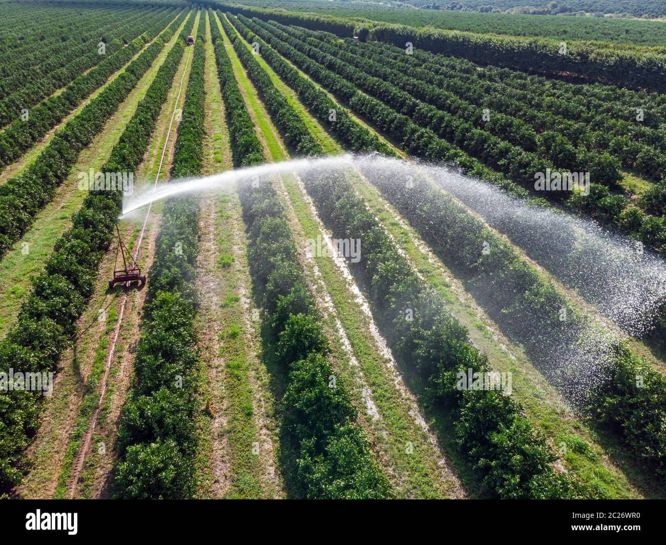 Water irrigation brazil crop hi-res stock photography and images - Alamy
