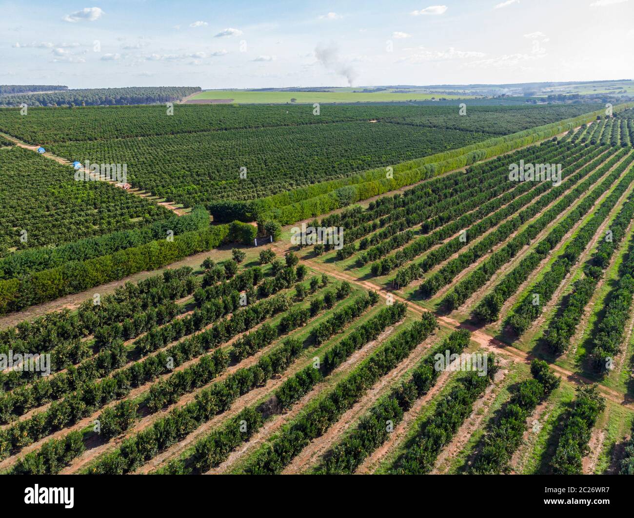 Water irrigation brazil crop hi-res stock photography and images - Alamy