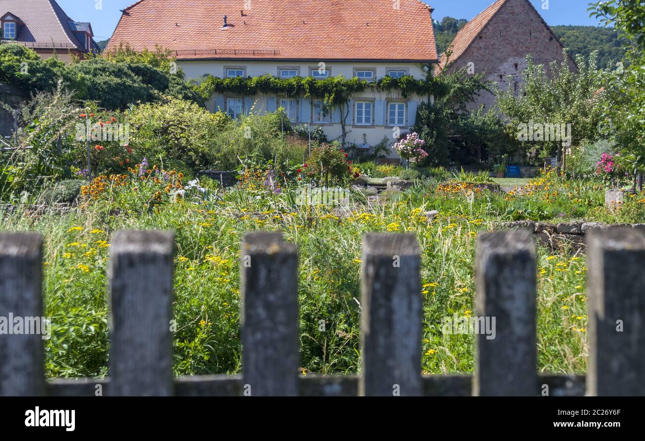 View over the garden fence Stock Photo - Alamy