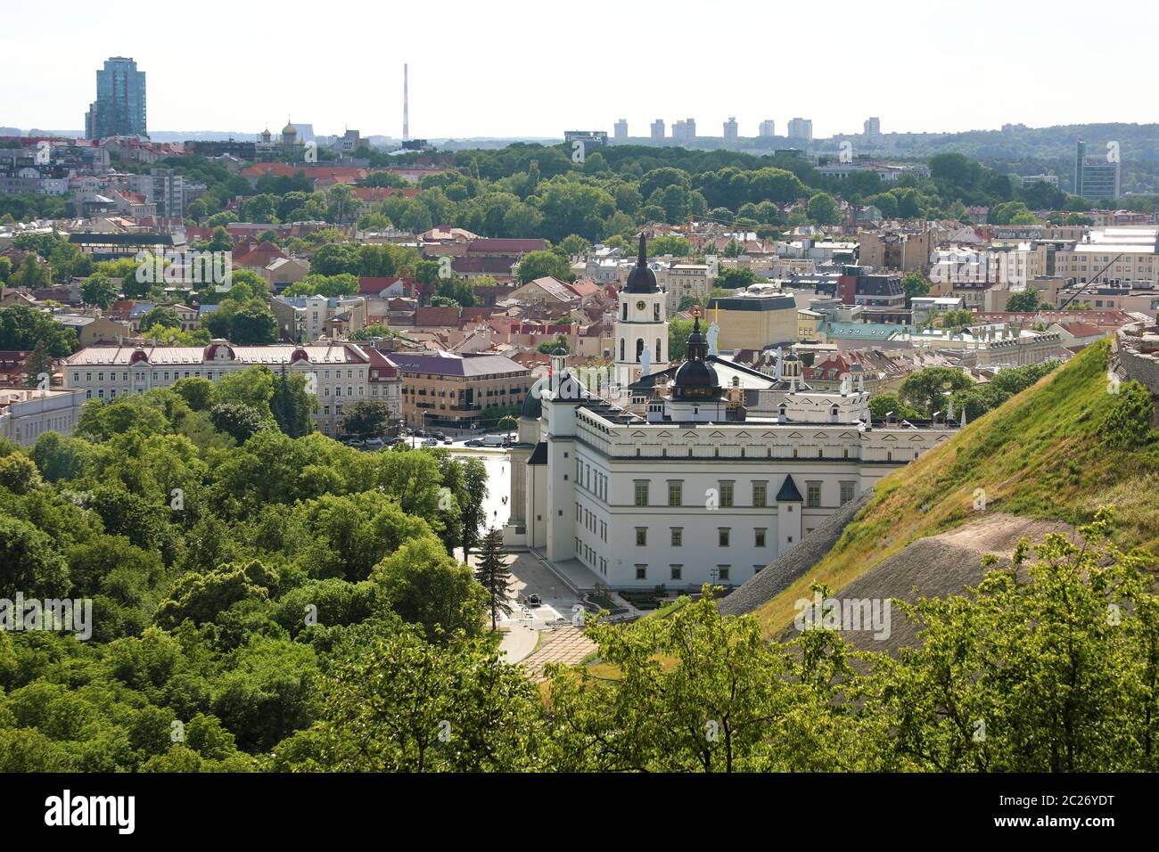 Vilnius cityscape with Cathedral and Palace of The Grand Dukes of ...