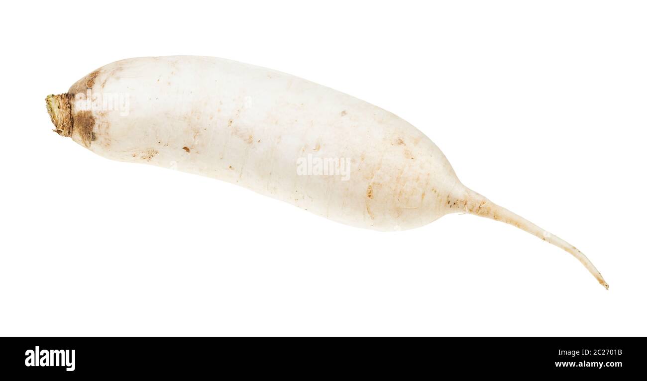 fresh root of Daikon long white radish isolated on white background ...