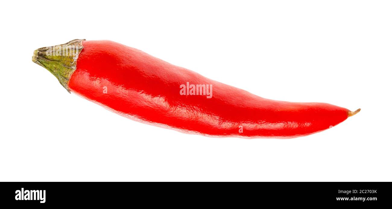 single little fresh red ripe chili pepper isolated on white background ...