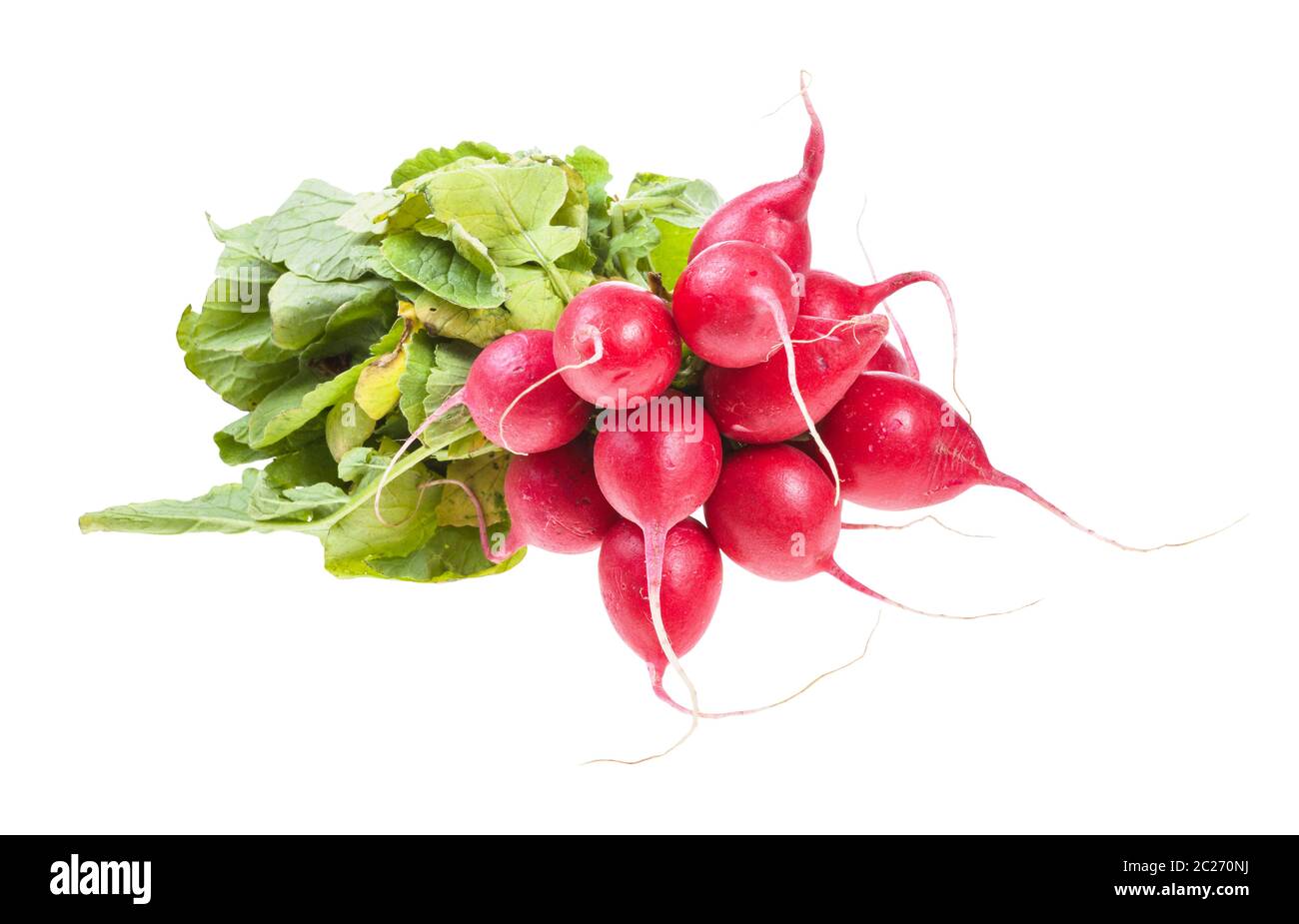 bunch of fresh organic red radish with greens isolated on white ...