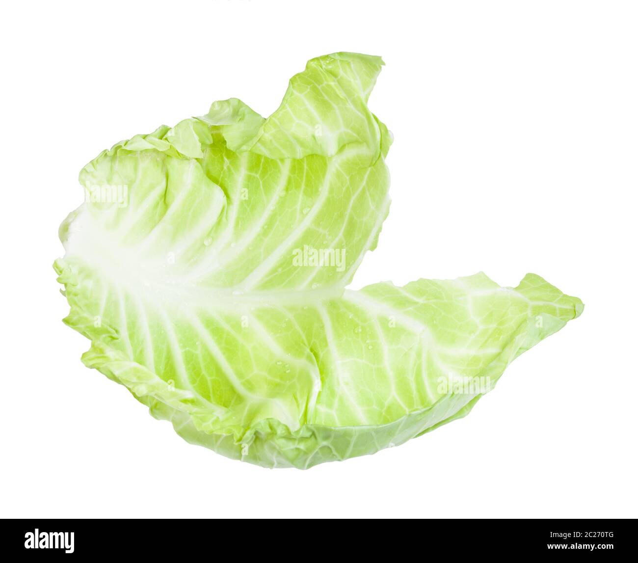 fresh leaf of white cabbage vegetable isolated on white background ...
