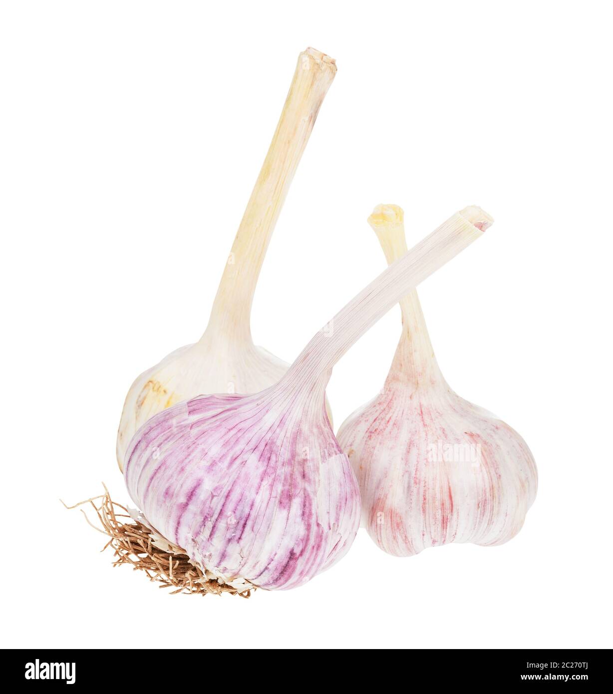 three bulbs of fresh garlic vegetable isolated on white background Stock Photo - Alamy