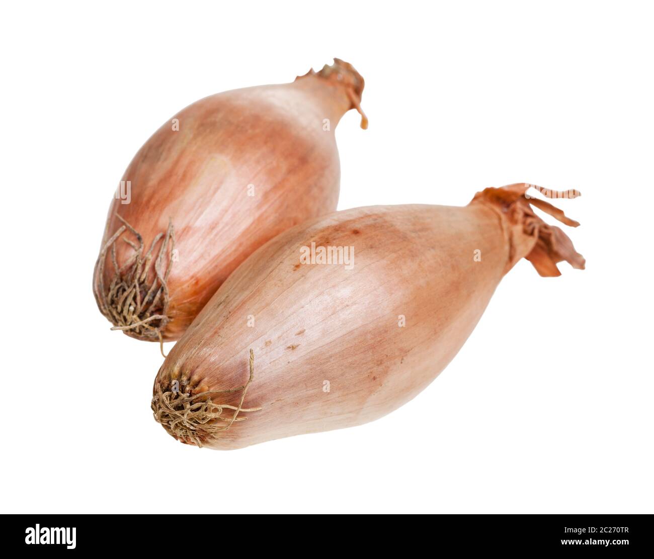 two bulbs of shallot onion close-up isolated on white background Stock ...
