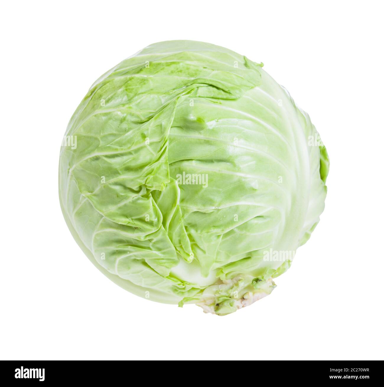 fresh white cabbage isolated on white background Stock Photo - Alamy